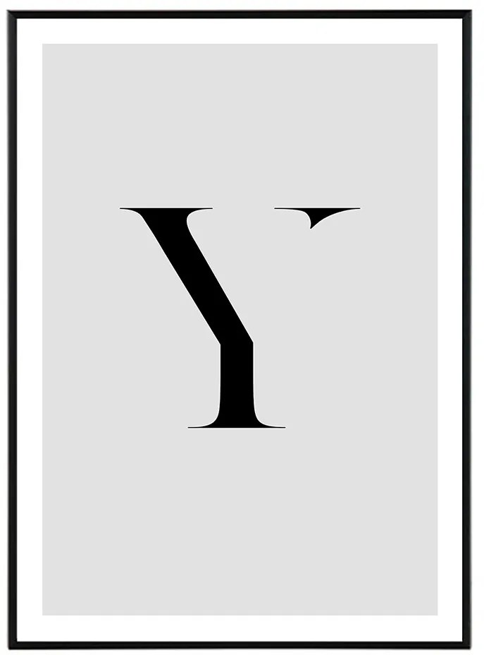 Letter Y - 50x70 cm Obraz