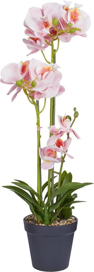 Butlers FLORISTA Orchidej v květináči 51 cm - sv. meruňková