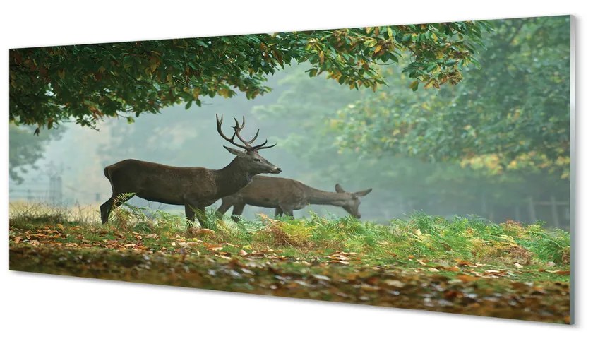 akrylový obraz Jelena na podzim les 120x60 cm