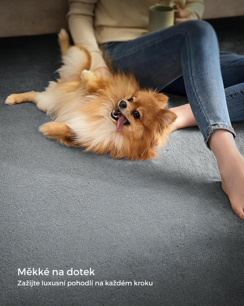 Koberec Darvin 80x150 cm šedý