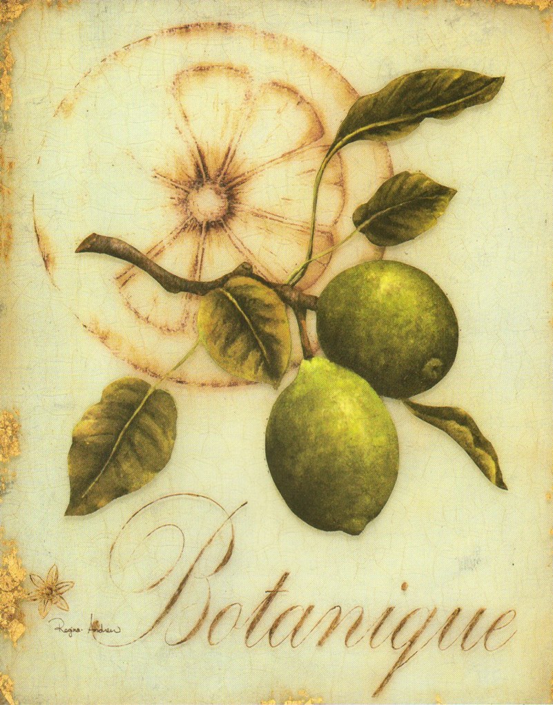 ART-STYLE Obrázek 24x30, ovoce botanique, rám sv. dub - červotoč