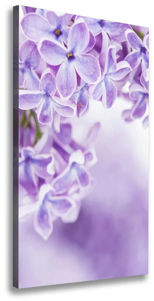 Wallmuralia Foto obraz na plátně do obýváku Květy bzu 60x120 cm