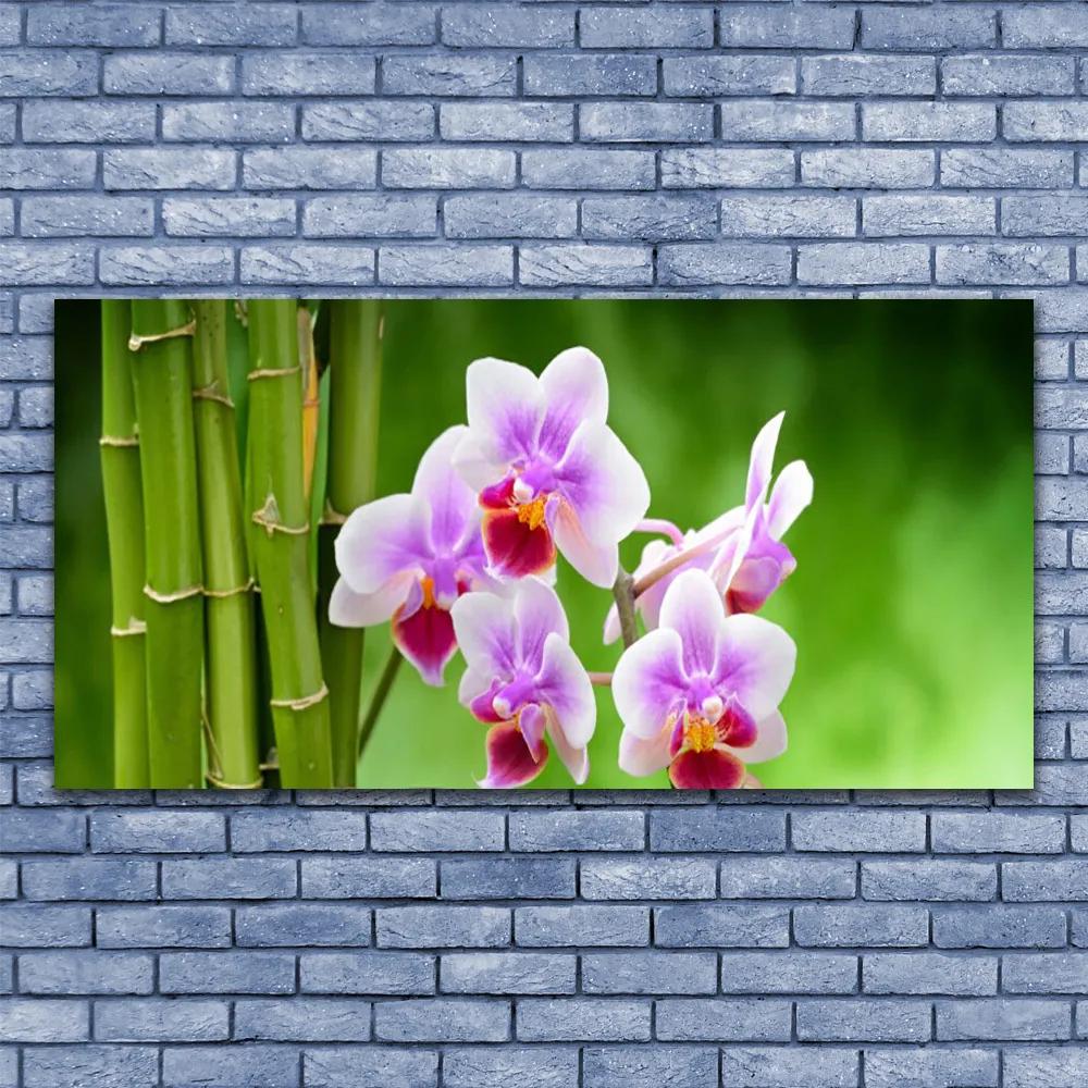 Plexisklo-obraz Bambus Orchidej Květiny Zen 120x60 cm