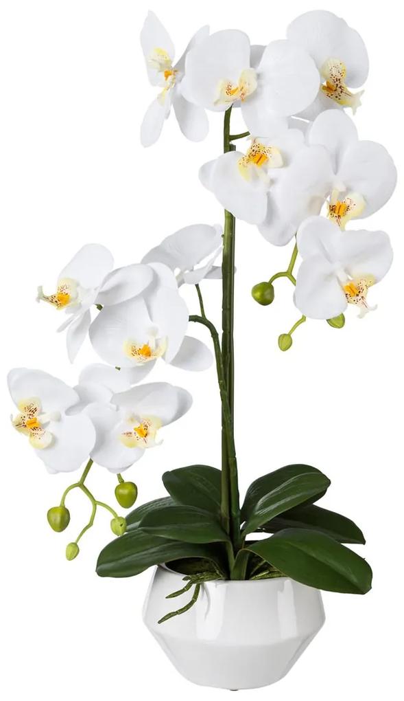 Gasper Orchidej v keramickém květináči, 52 cm, bílá