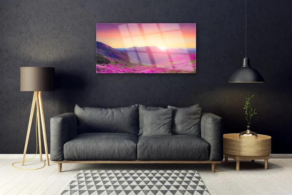 Plexisklo-obraz Slunce Hory Louka Příroda 100x50 cm