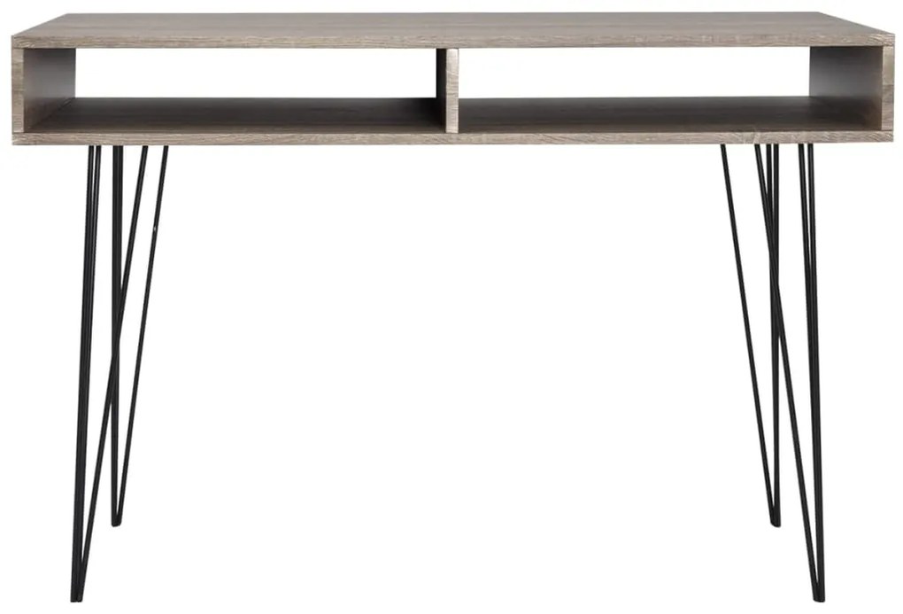 20136 vidaXL Psací stůl s 2 policemi šedý