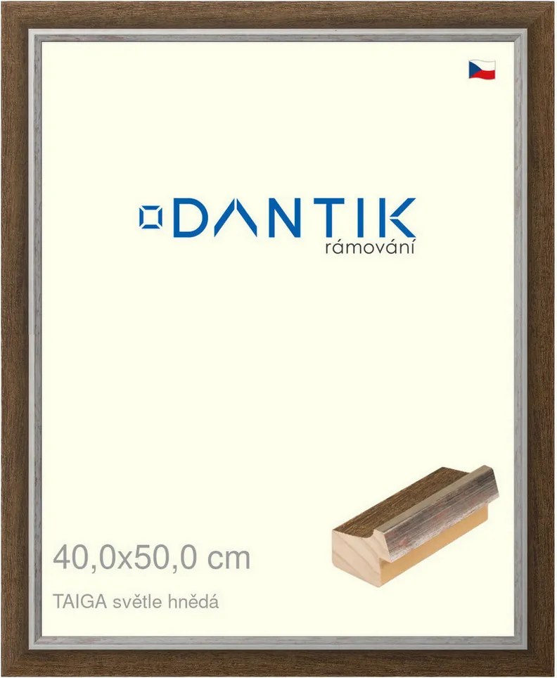 DANTIK rámeček 40x50 | TAIGA sv.hnědá (Sklo Čiré)