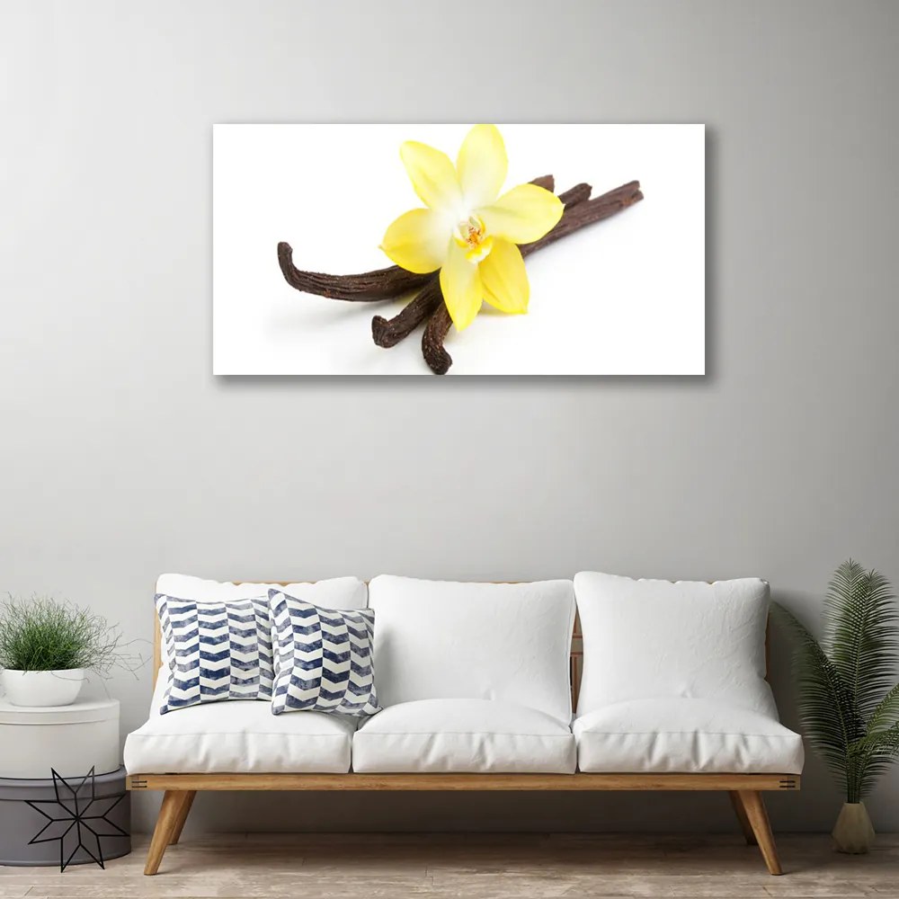 Obraz na plátně Vanilka Rostlina Příroda 100x50 cm