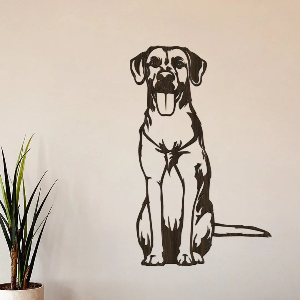 dřevo života Dřevěná dekorace psa Ridgeback Zvolte rozměr (cm): 25x45, Zvolte barvu dekoru: Černá