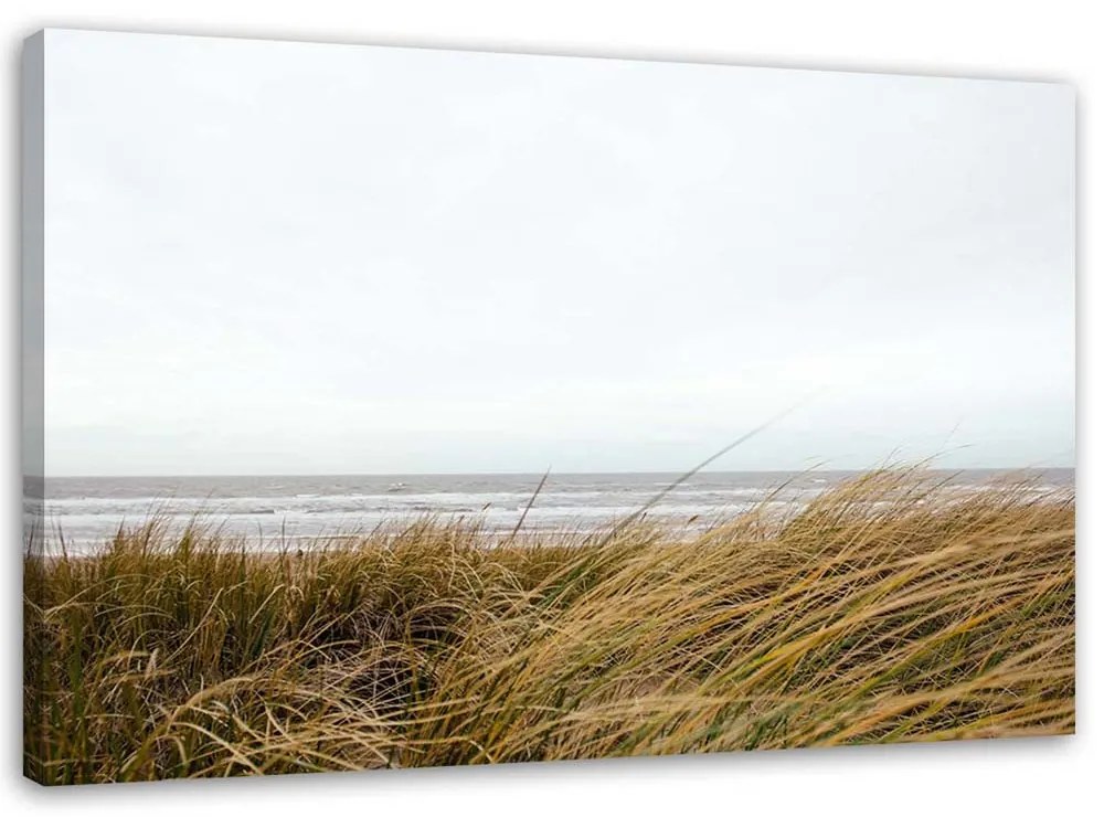 Gario Obraz na plátně Tráva na břehu moře Rozměry: 60 x 40 cm