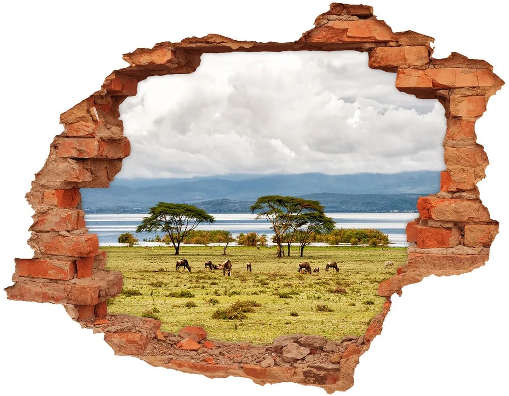Wallmuralia Nálepka fototapeta 3D výhled Jezero Naivasha 90x70 cm