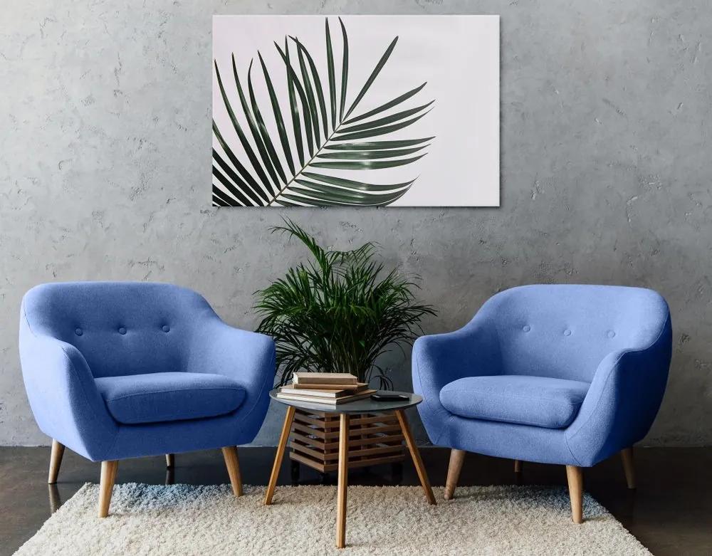 Obraz nádherný palmový list - 60x40 cm