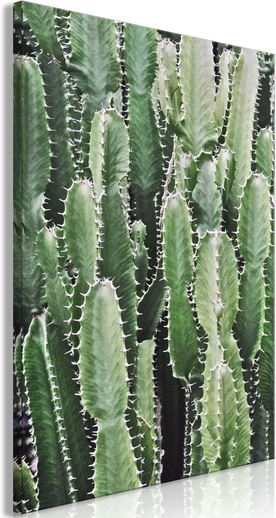 Obraz - Cactus Garden - jednodílný svislý 40x60