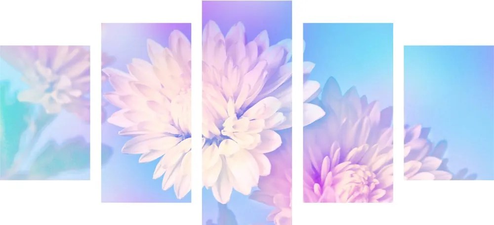 5-dílný obraz květ chryzantémy Varianta: 200x100