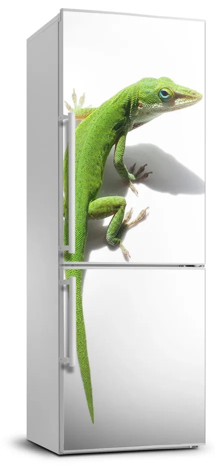Wallmuralia Foto tapeta na ledničku Zelená ještěrka 60x180 cm