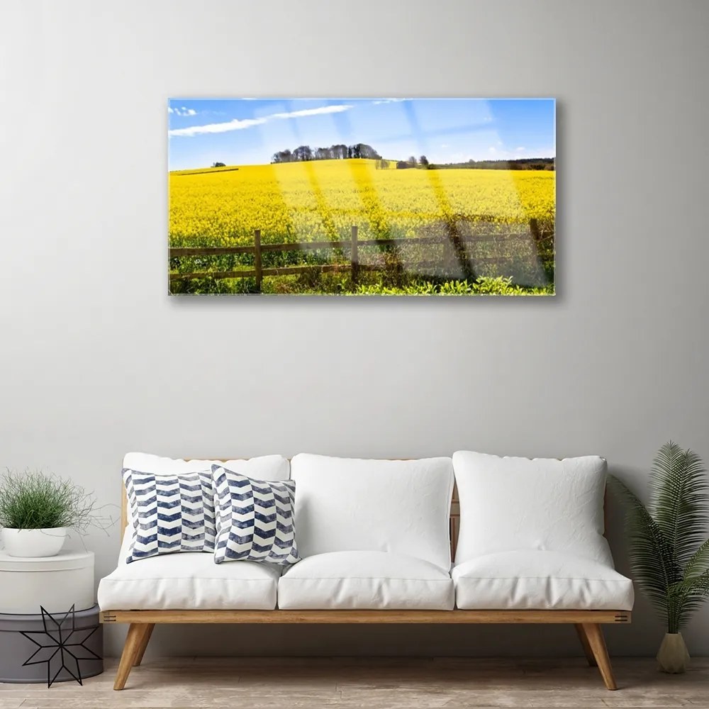 akrylový obraz Pole Rostlina Krajina 100x50 cm