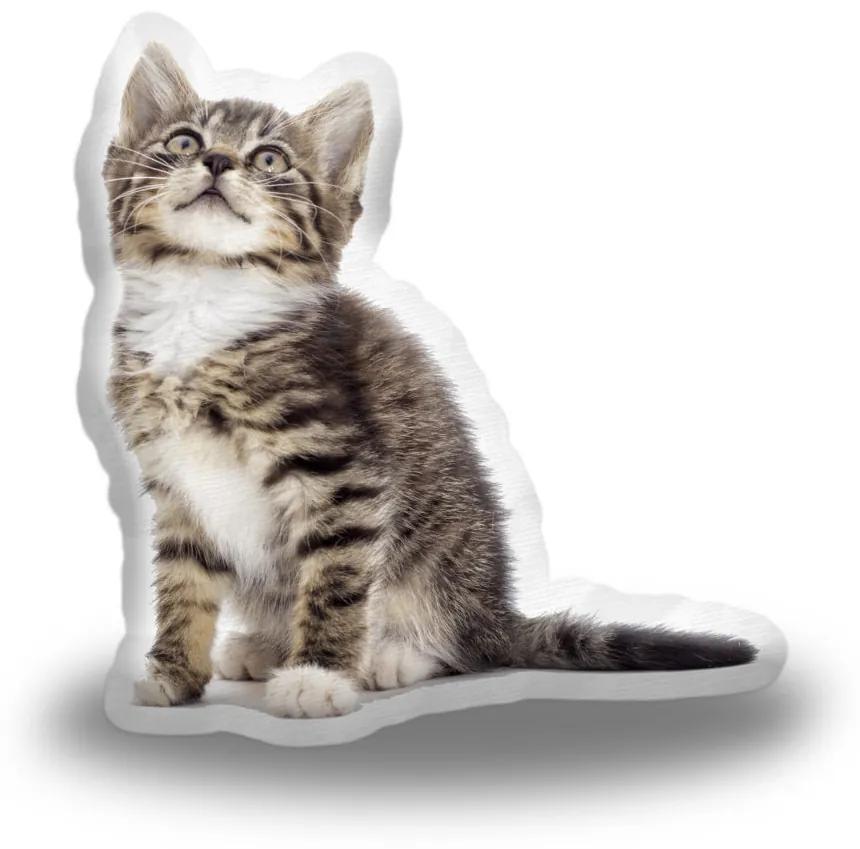 Polštářek 3D - Mourované koťátko