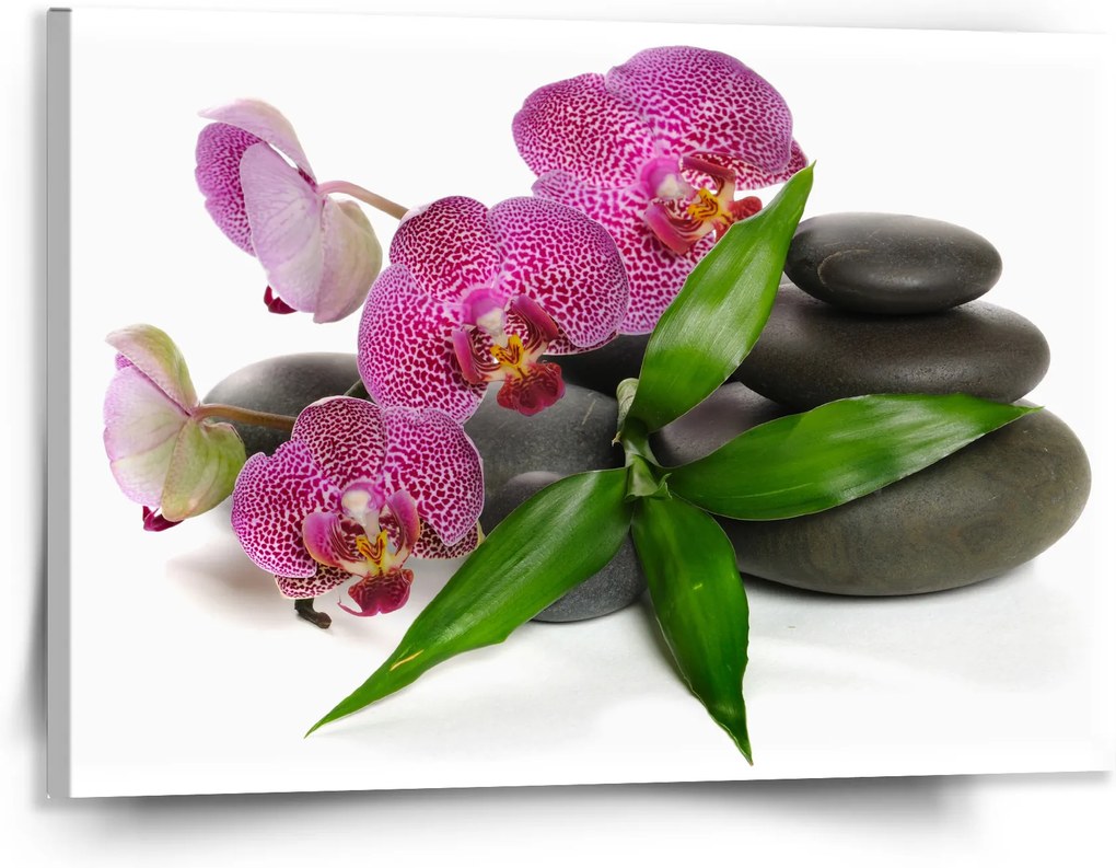 Obraz - Orchideje a kameny 150x110 cm