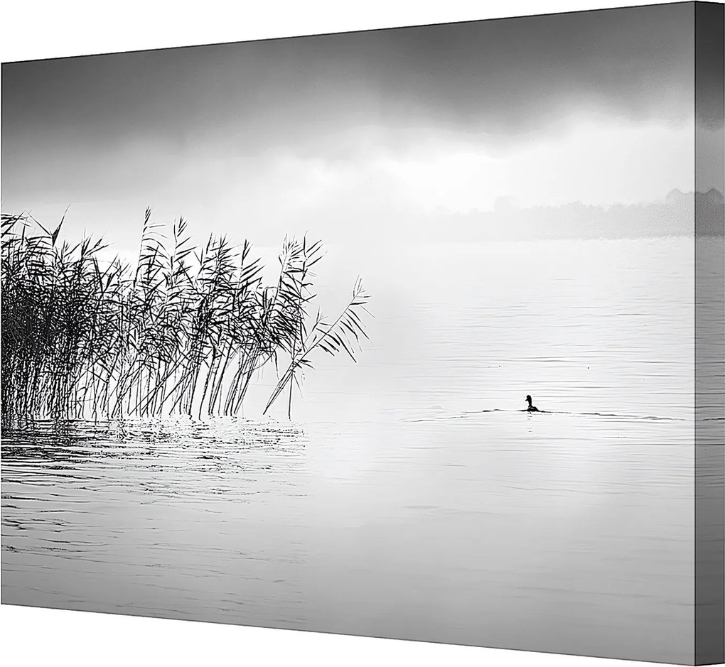 Obraz na plátně By the Lake II