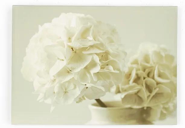 Obraz Bílé květy 40-618, Tranquality, Wall Art, Graham Brown