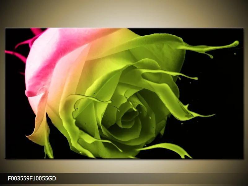 Moderní obraz pestrobarevné růže  (), 40 dalších rozměrů