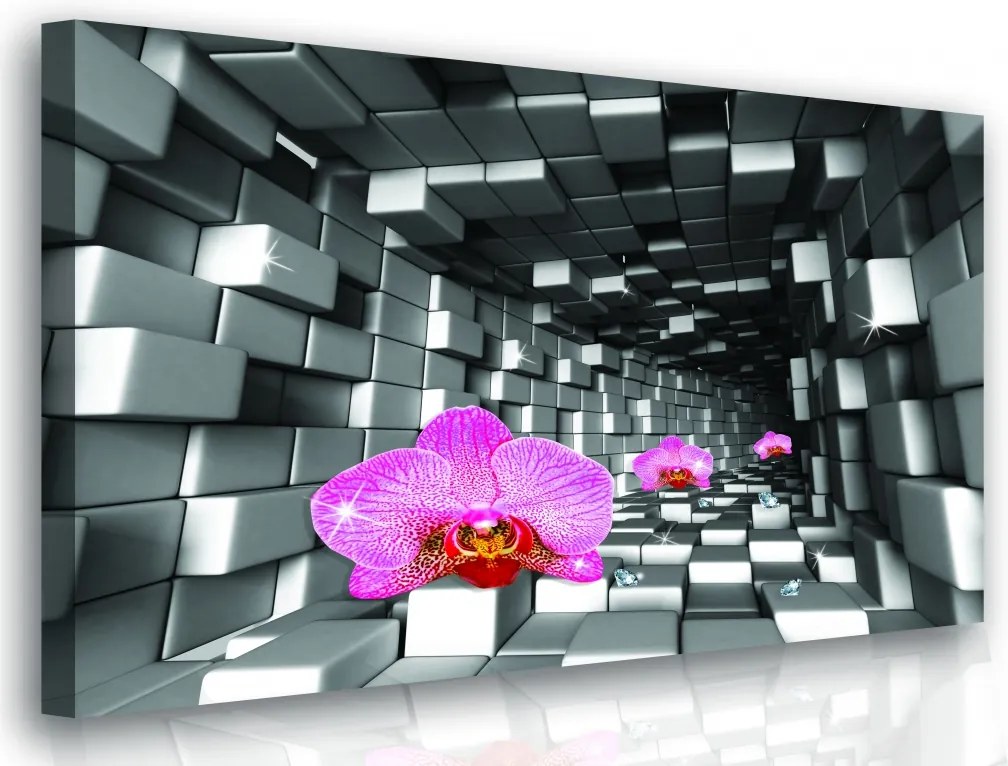 Moderní obraz - orchidej (80x80 cm) - InSmile ®