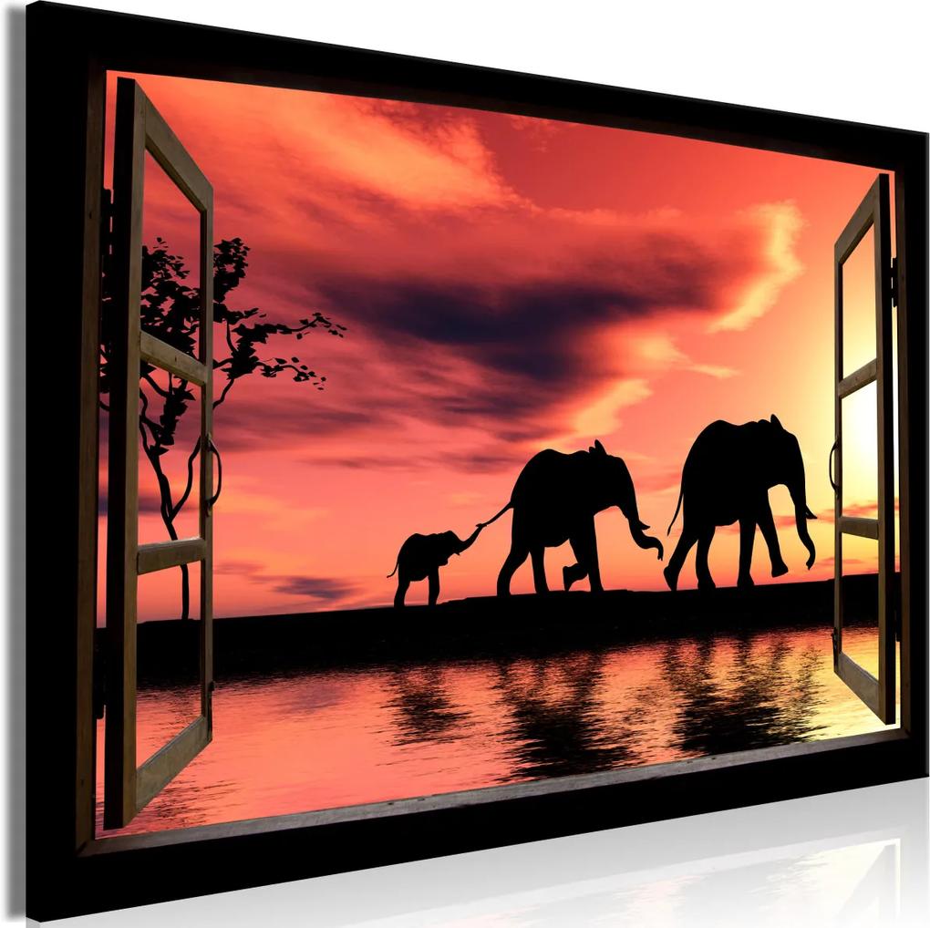 3D obraz výhled na slony + háčky, hřebíčky ZDARMA Velikost (šířka x výška): 90x60 cm