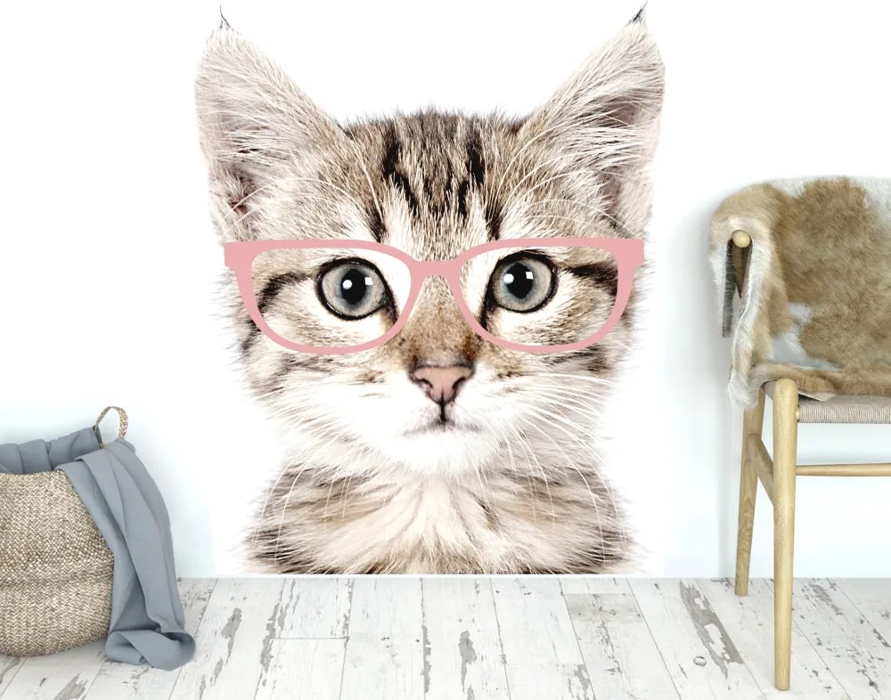 Samolepka na zeď - kotě v brýlích Velikost: XL, laminát: žádný