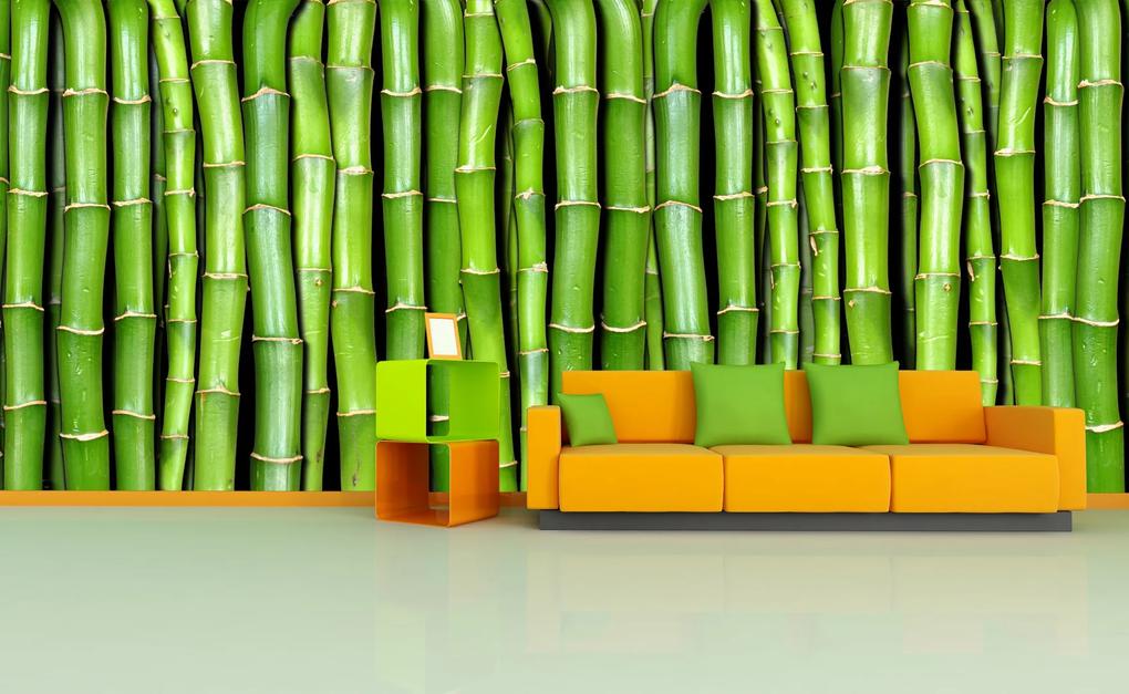 IMPAR Fototapeta na zeď Zelený bambus (Rozměr : 252 x 126)