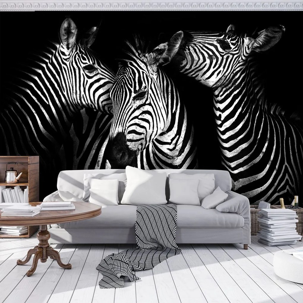 Fototapeta - Zebra (152,5x104 cm)