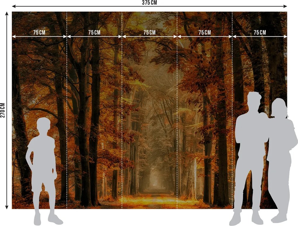 Fototapeta na míru Podzimní Cesta | Vliesová fototapeta na zed' | DFTNXXL3009