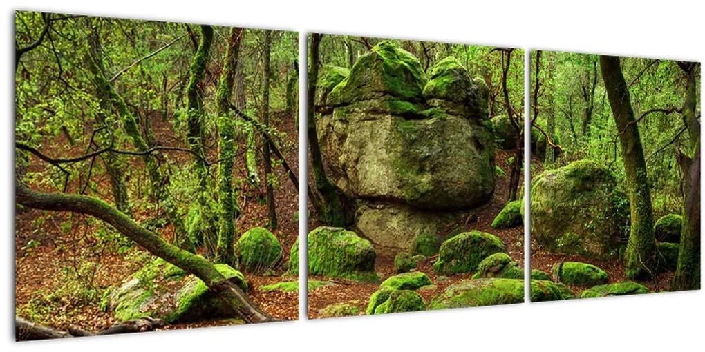 Obraz kouzelného lesa (120x40 cm), 40 dalších rozměrů