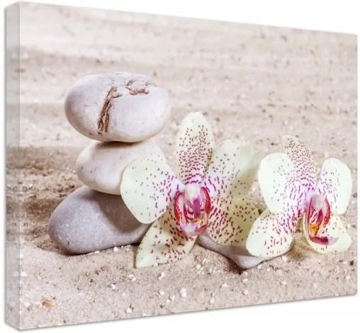 CARO Obraz na plátně - Orchid And Stones On The Sand 2 40x30 cm