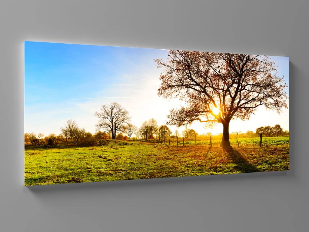 Liox Obraz košatý strom Rozměr: 120 x 55 cm
