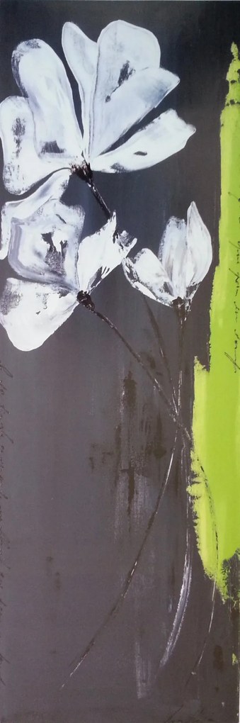 ART-STYLE Obrázek 33x95, bílý květ &amp; zelený vlys, rám bílý s patinou