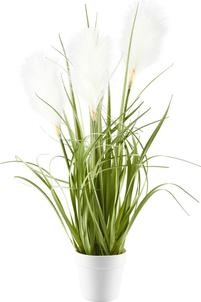 XXXLutz DEKORAČNÍ TRÁVA 53 cm Ambia Home - Dekorační tráva - 0039530053