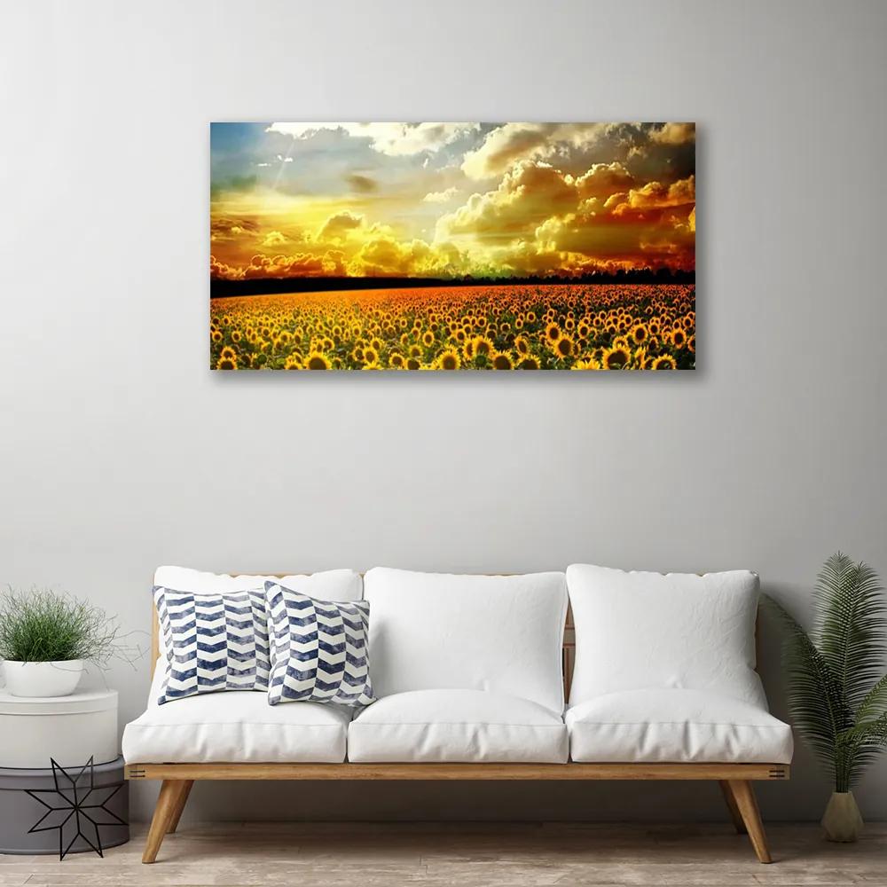 Obraz na plátně Pole Slunečnic Krajina 120x60 cm