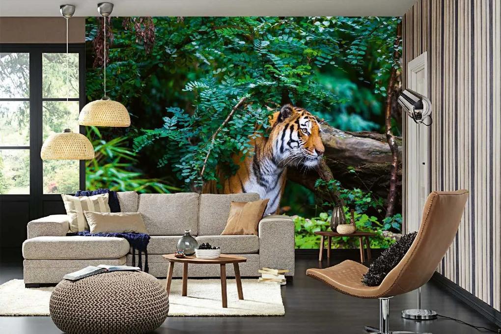 DIMEX | Vliesová fototapeta Tygr v džungli MS-5-0622 | 375 x 250 cm| zelená, černá, oranžová