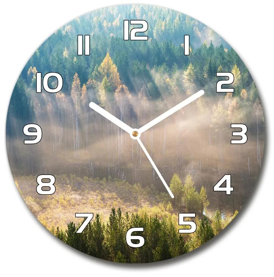 Wallmuralia Skleněné hodiny kulaté Mlha v lese fi 30 cm