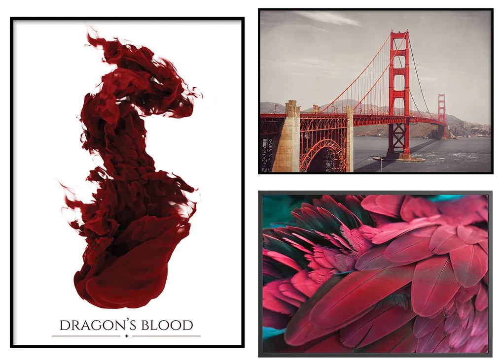 DecoKing - Sada nástěnných plakátů - Dragons Blood
