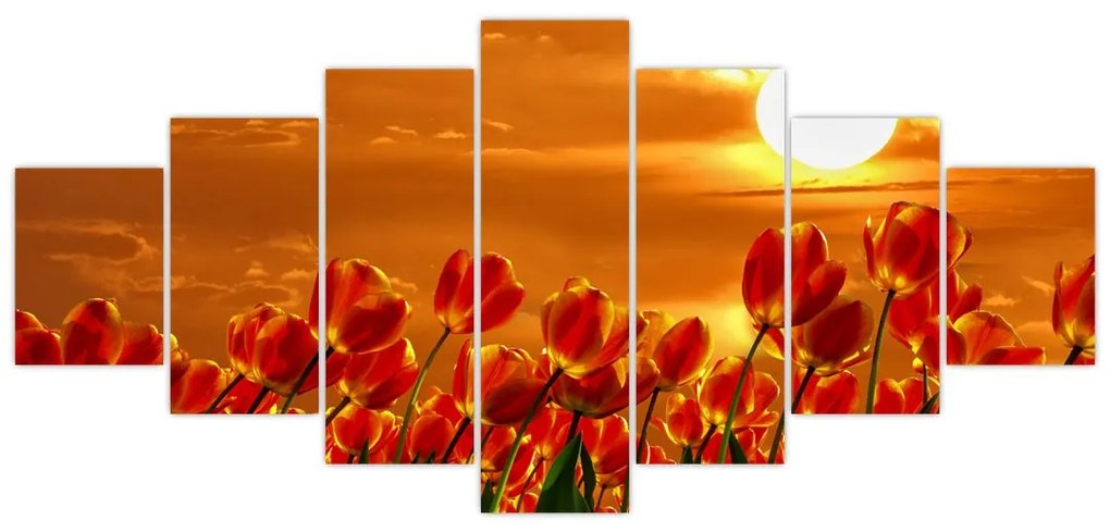 Obraz rozkvetlého lánu s tulipány (210x100 cm)