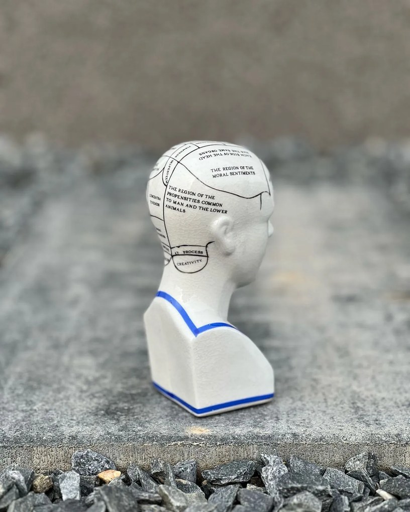 Porcelánová figurka malá - Frenologická lebka