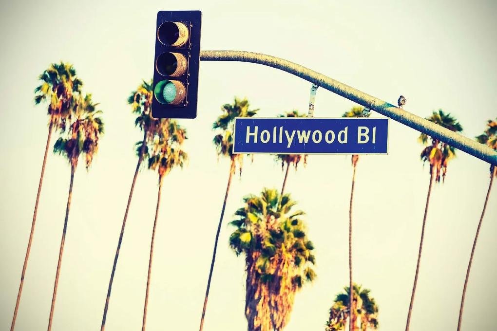 DIMEX | Samolepicí vliesová fototapeta na zeď Nápis Hollywood Boulevard MA-5-2942 | 375 x 250 cm | zelená, modrá, bílá
