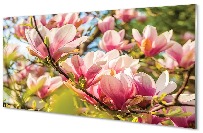 akrylový obraz růžová magnolie 100x50 cm