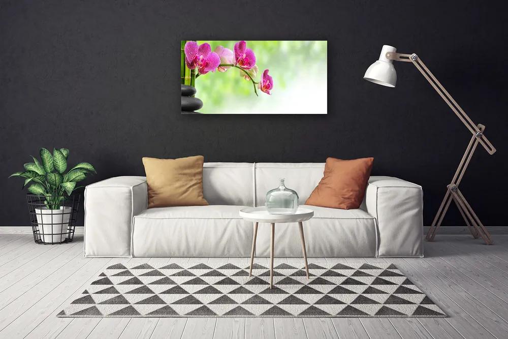 Obraz na plátně Květ Kameny Rostlina 140x70 cm