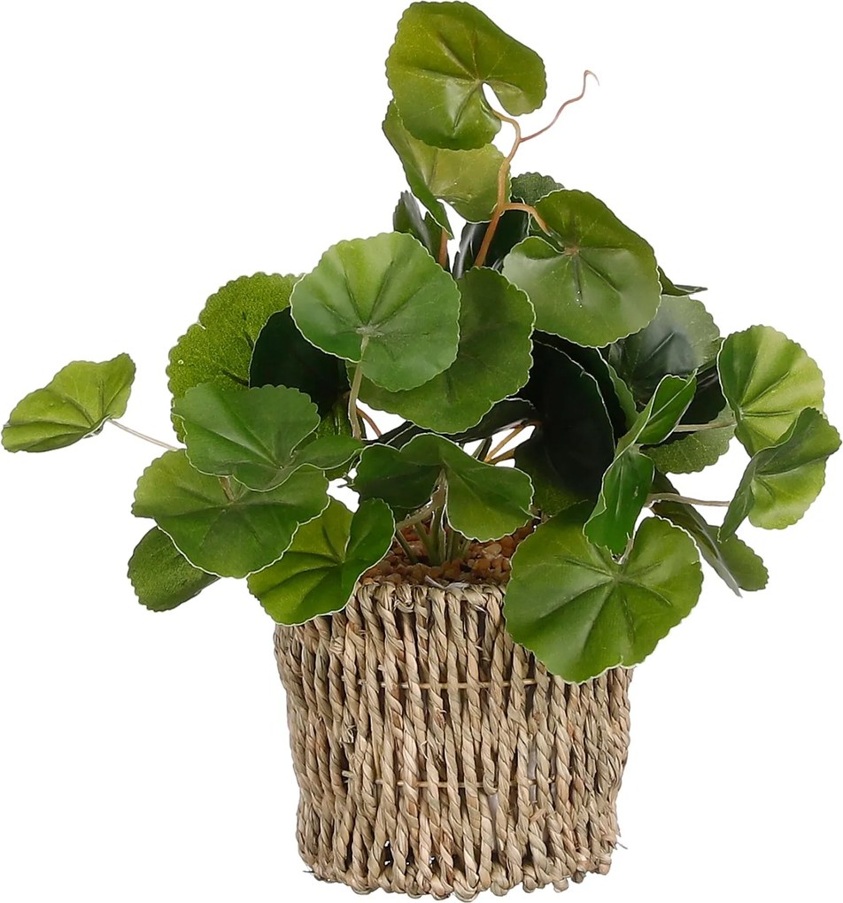 Mica Decorations Umělá pilea v košíčku, pr. 12 x 33 cm