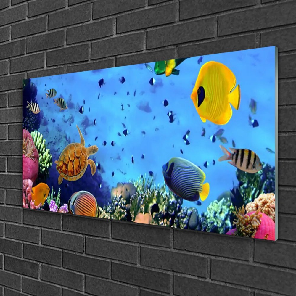 Obraz na skle Korálový Útes Ryba Příroda 125x50 cm