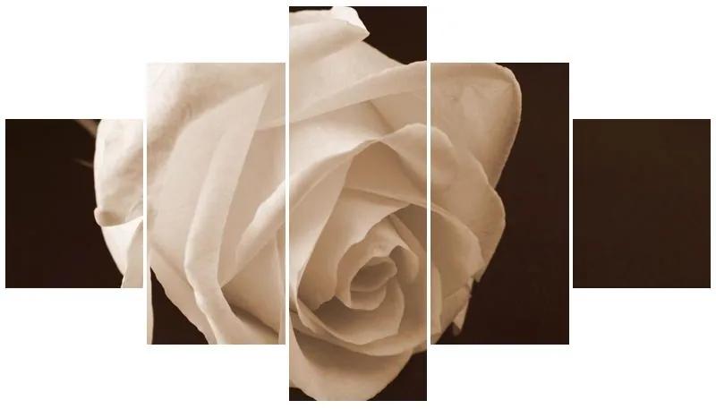 Krásný obraz růže (125x70 cm), 40 dalších rozměrů