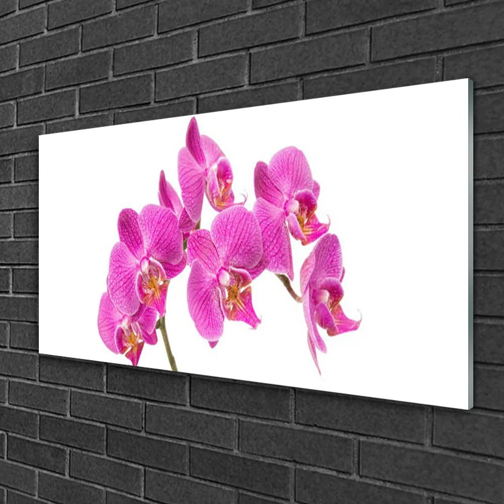 Obraz na skle Orchidej Květiny Příroda 100x50 cm