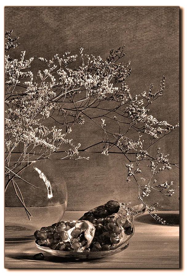 Obraz na plátně - Zátiší - větev a granátové jablko - obdélník 7274FA (100x70 cm)